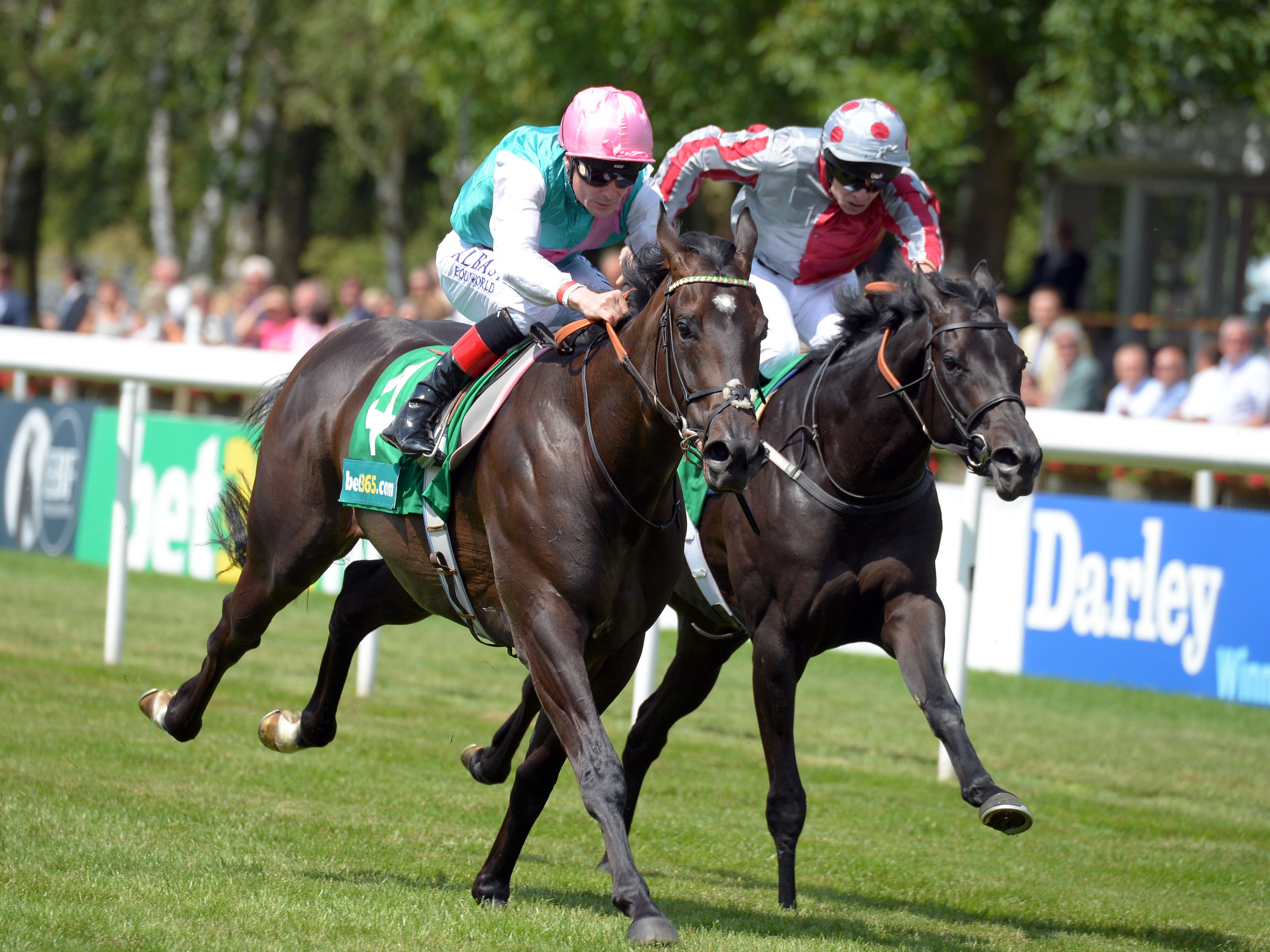 Racecourse Media Group renews five-year managed service contract with ...