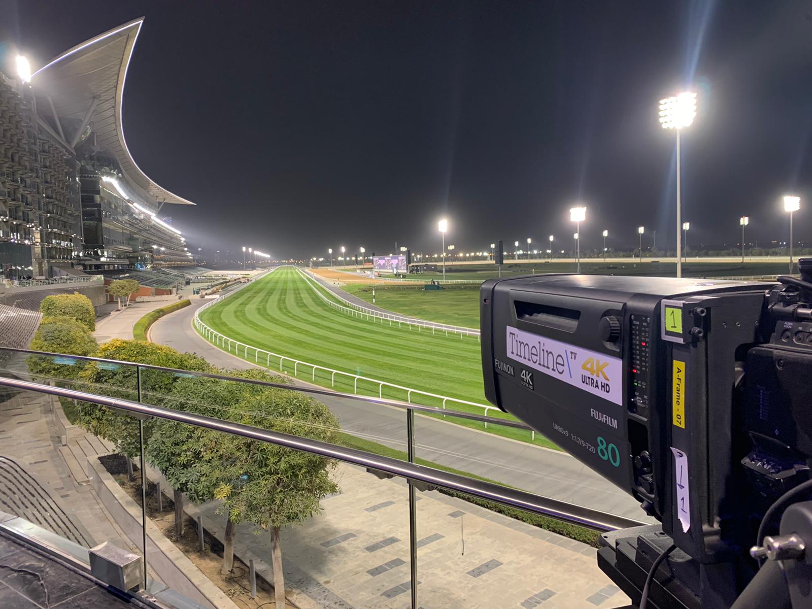 Timeline TV shows to watch in January - Timeline Television Ltd.